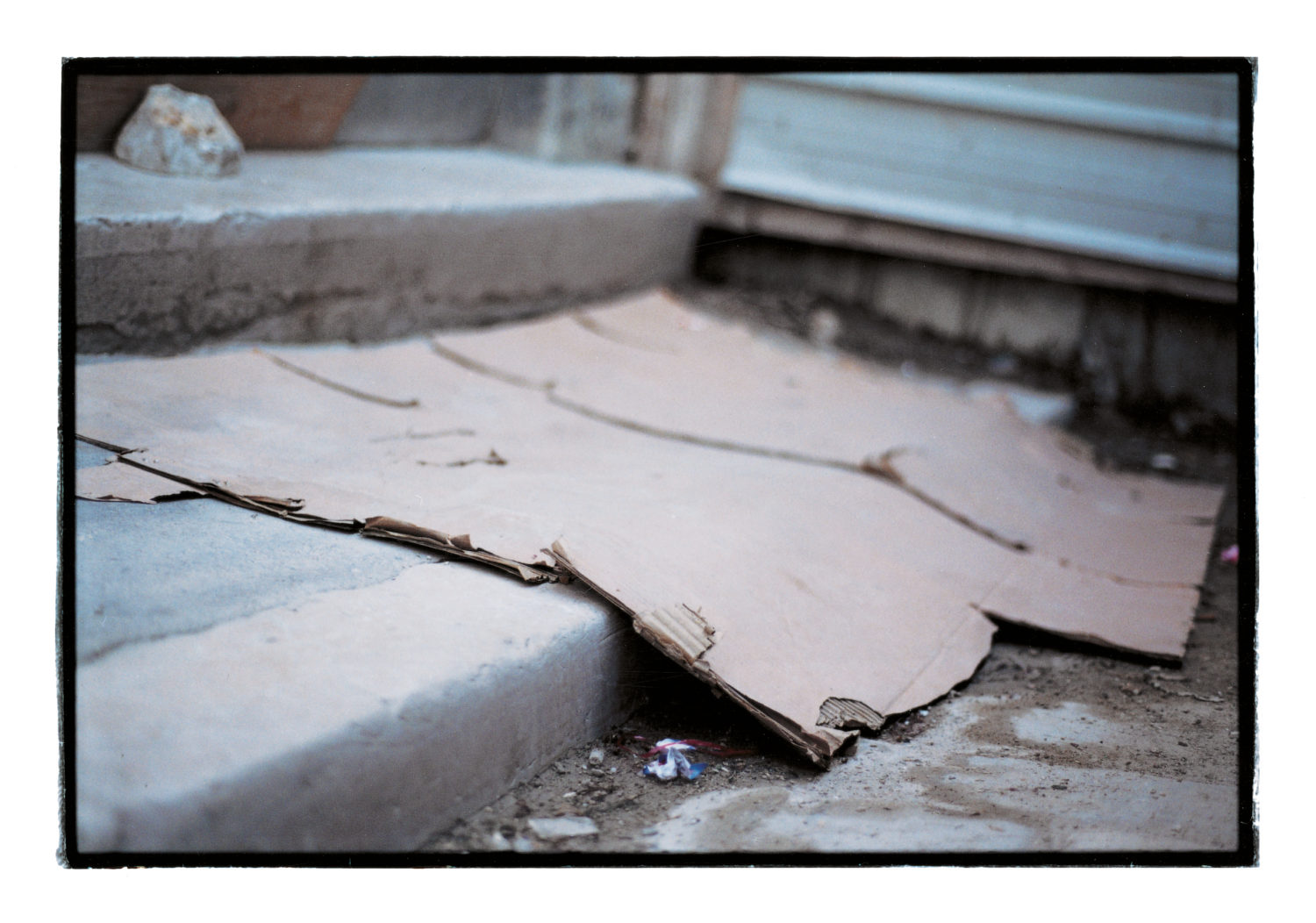 Albert Speer : le mensonge vital* - L'HEBDO-BLOG